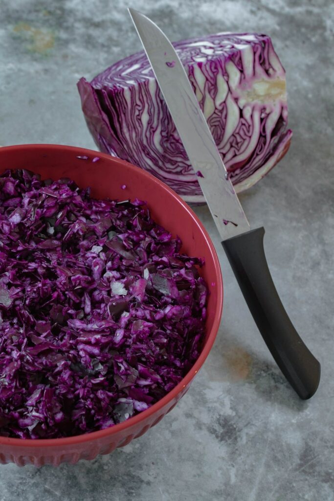 Apfelrotkohl auf Vorrat zubereiten - The inspiring life