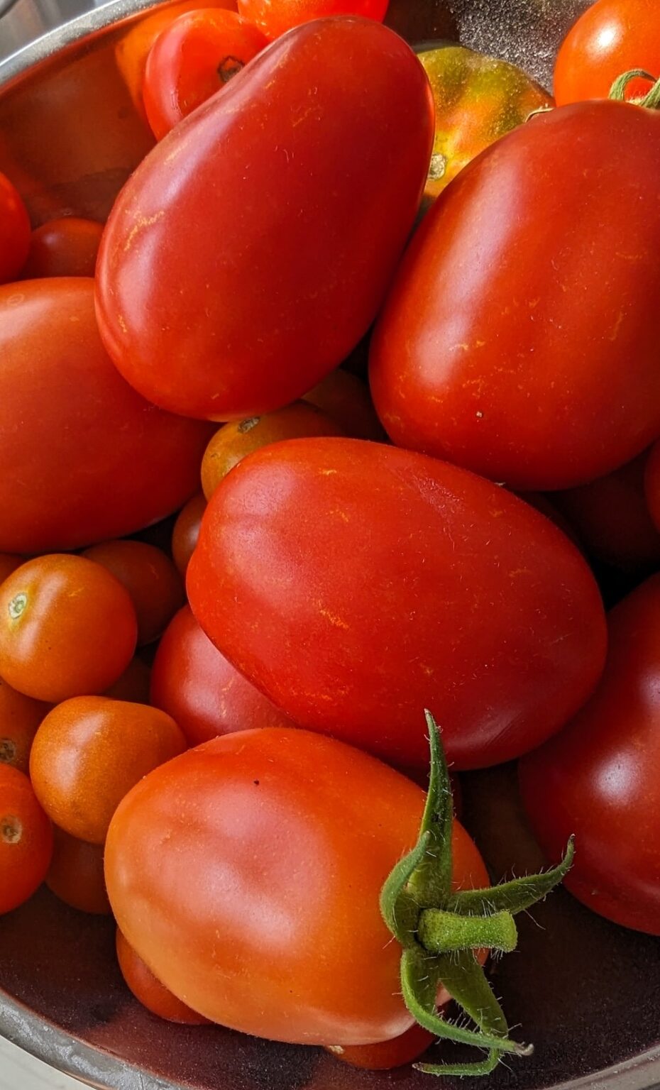 Passierte Tomaten auf Vorrat selber machen - The inspiring life